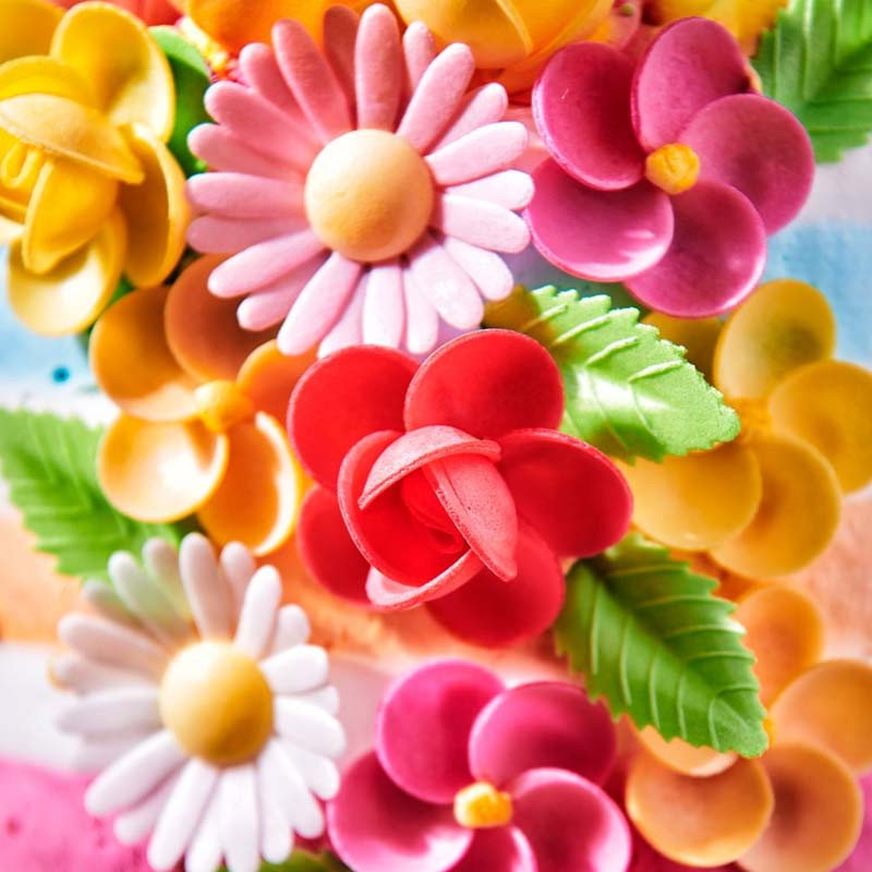 Köp Ätbara Blommor i Rispapper - Daisy / Tusensköna