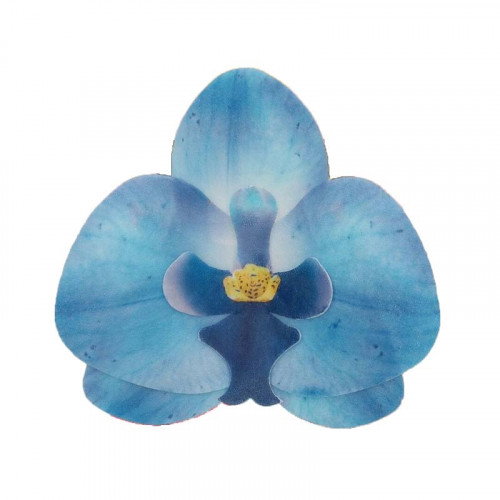 Köp Tårtblommor i blå – ätbara orkidéer från FunCakes